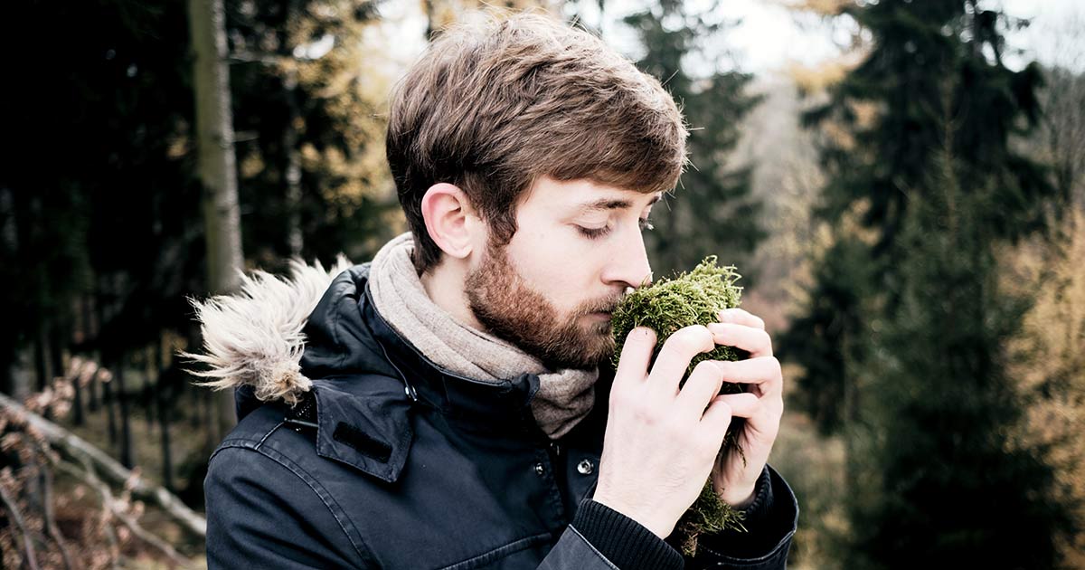 The Symrise Perfumery School: A Gateway to the World - Nez the ...