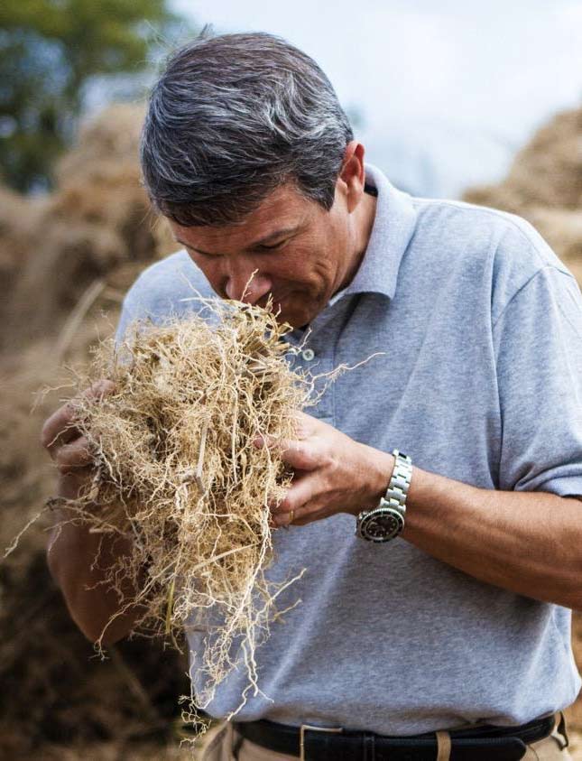 Firmenich, a 125-year legacy in perfumery - Nez the olfactory cultural ...