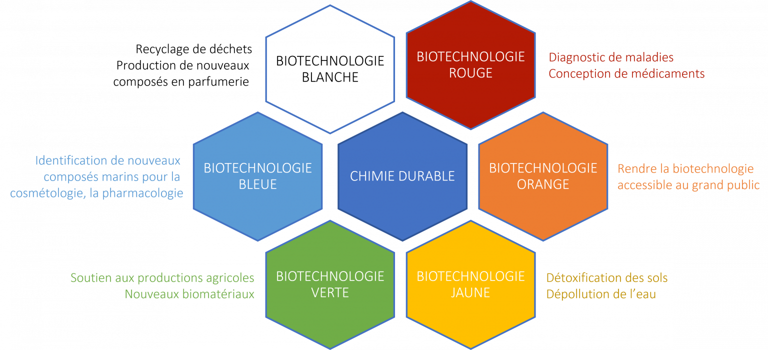 Les biotechnologies blanches au service de la parfumerie - Nez le mouvement culturel olfactif