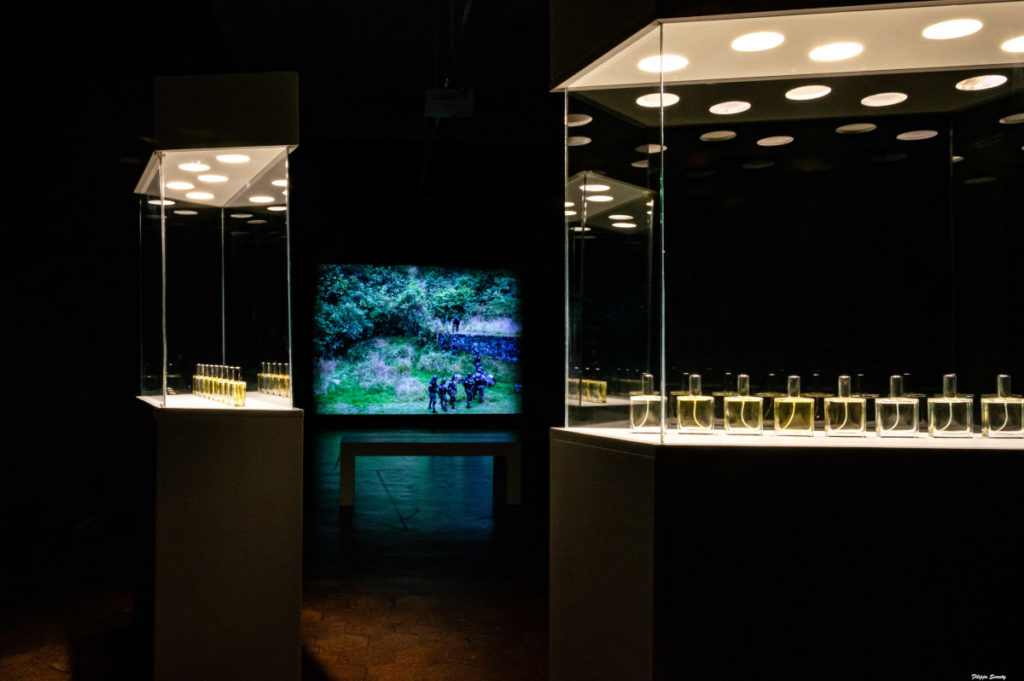 Nez, the olfactory cultural movement - Nez the olfactory cultural movement